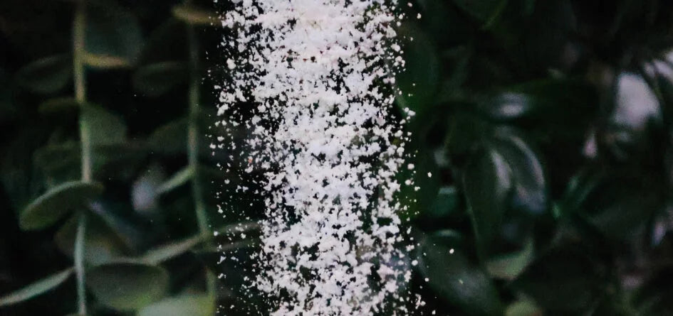 Epsom Salt For Feet - How To Use And Its Benefits – TRIHARD